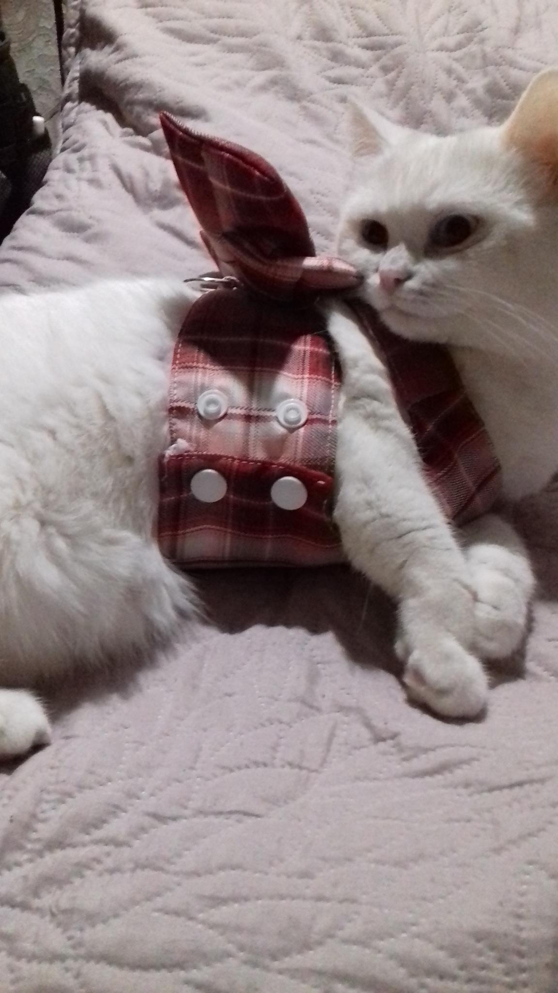 Ham cu Fundita + Lesa – Rosu #HH32 | HaineCatei.ro